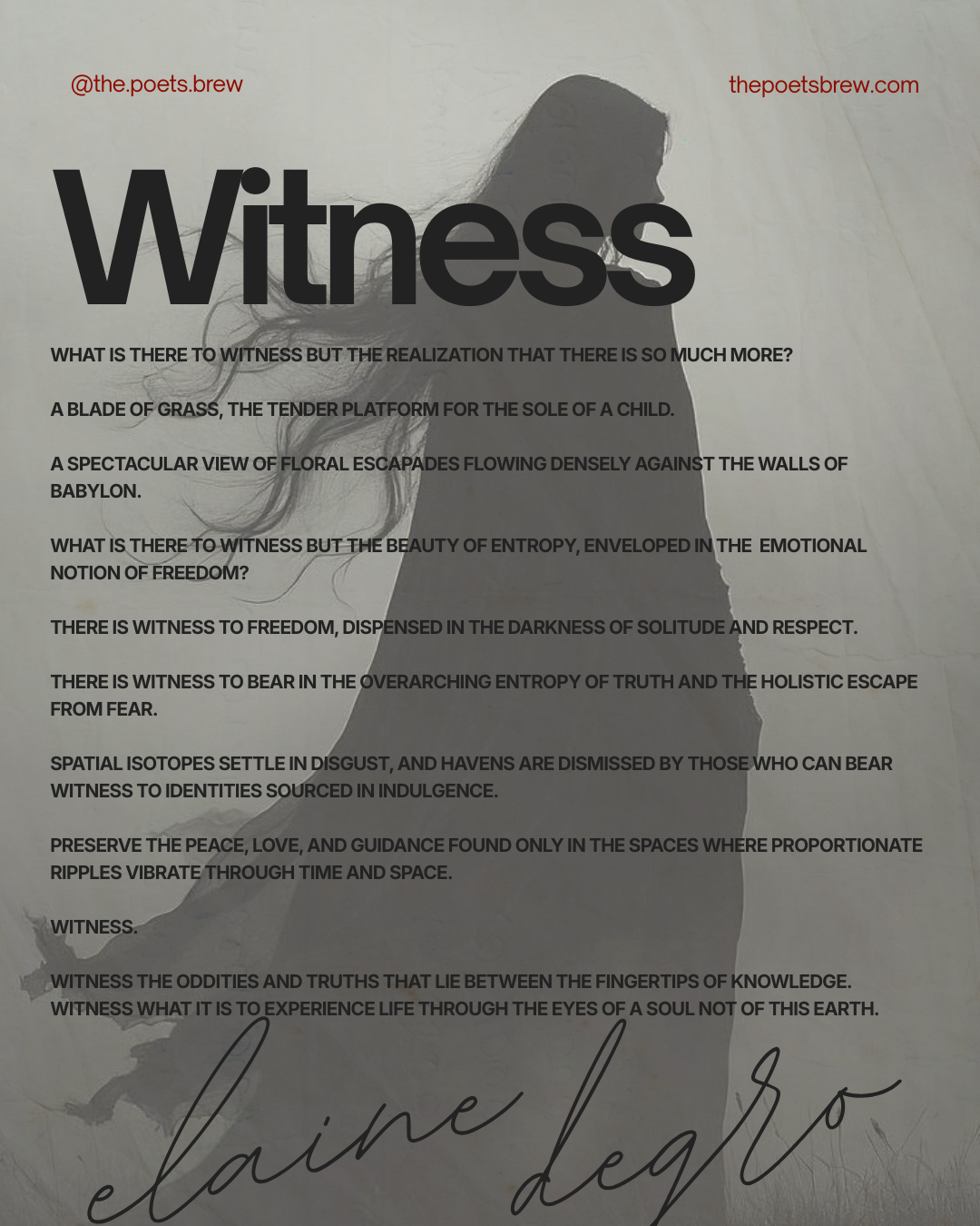 Witness